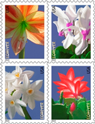 Winter Flowers Forever Stamps Are Blooming in the Mail
